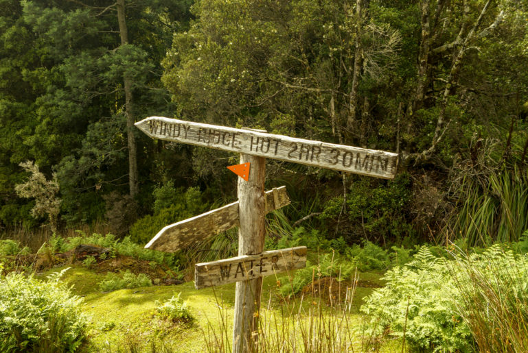 Signpost on the Overland Track • Pegs on the Line